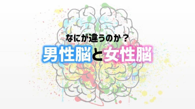 男性脳な女であると判明⁉︎→悩みが解決した!|男性脳と女性脳の違い ふりぃたむ